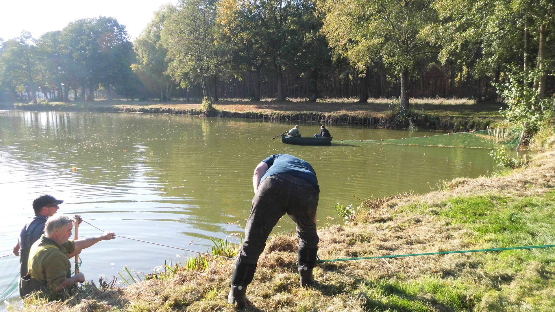 Weihnachtsbaumverkauf - SAV Tespe Sportanglerverein