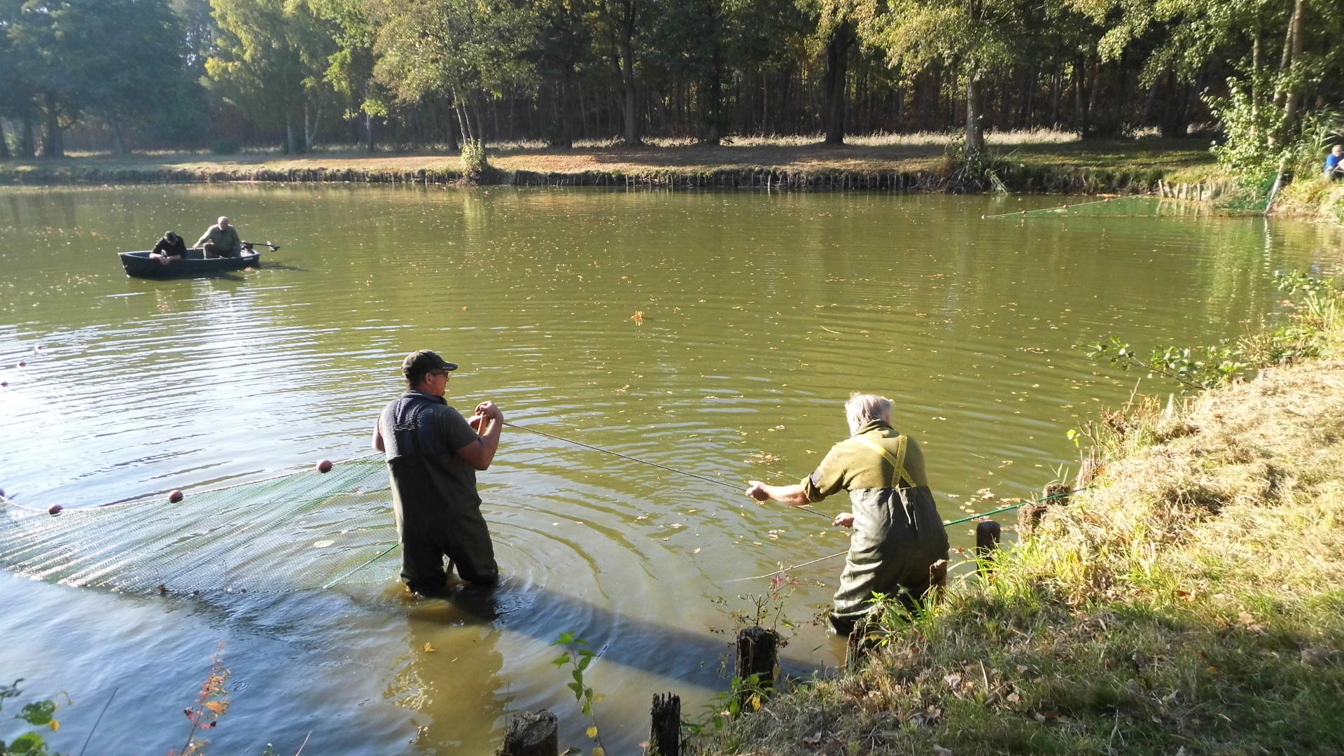 Weihnachtsbaumverkauf - SAV Tespe Sportanglerverein