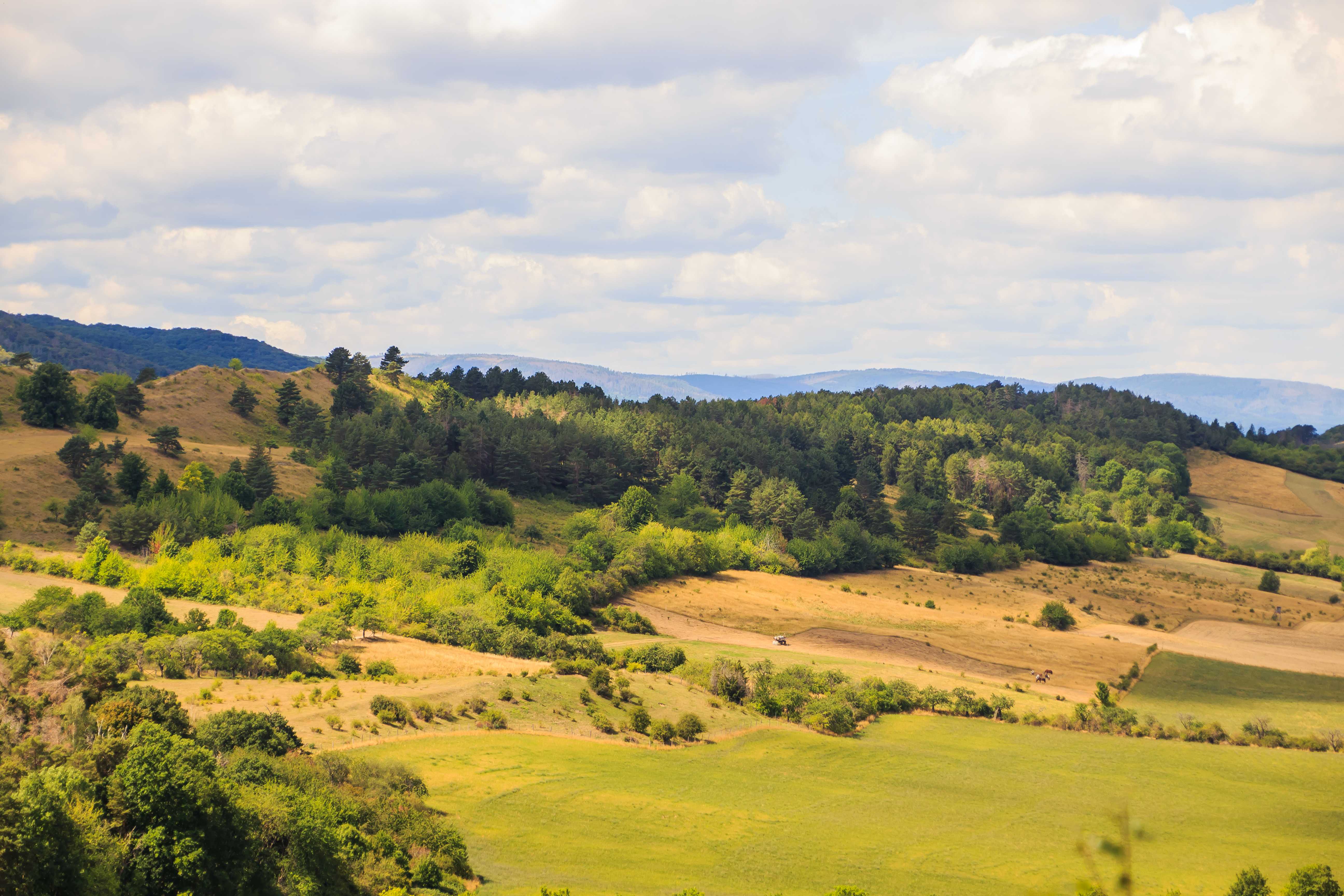 Heimburg... das Schönste am Fuße des Harzes – Idyllischer Urlaubsort ...