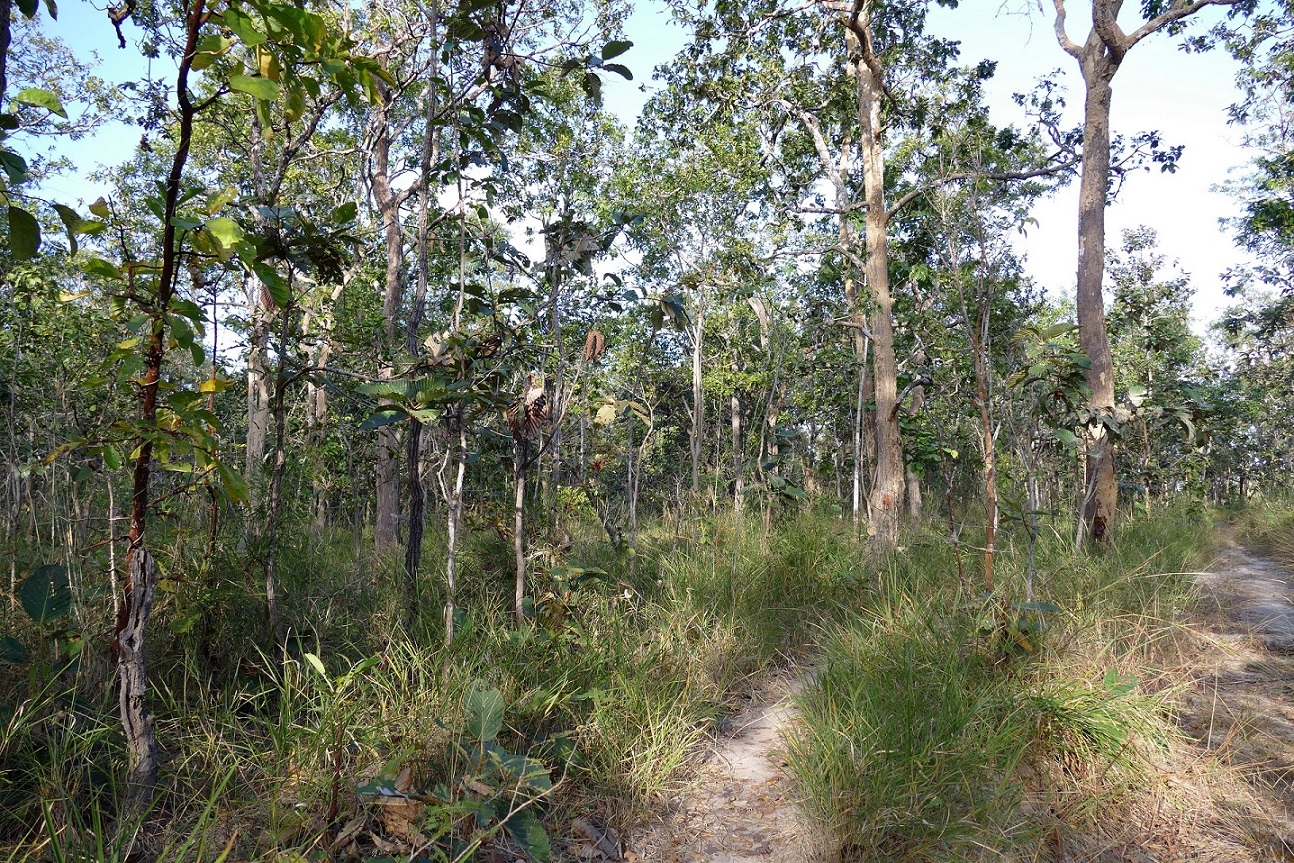 January, Shorttrip to Phu Pan, Sakon Nakhon province, Thailand - thomas ...