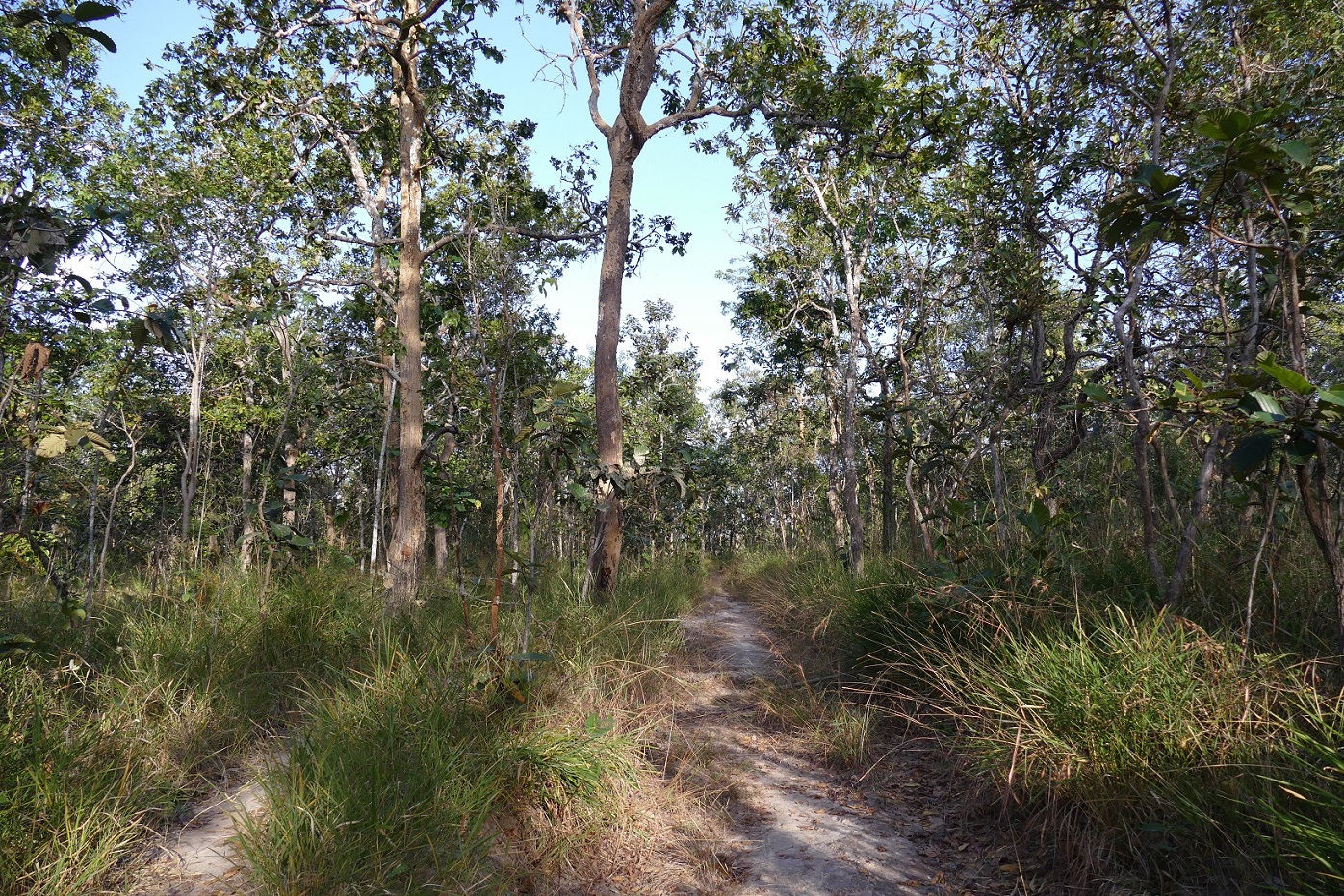 January, Shorttrip to Phu Pan, Sakon Nakhon province, Thailand - thomas ...