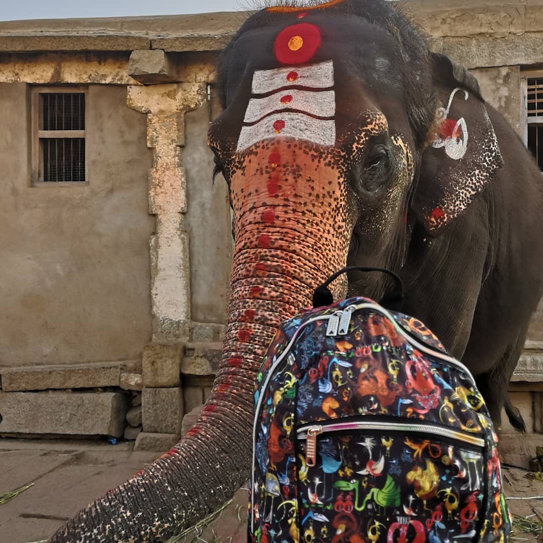 Werbung für Taschen, die Überraschen - enomis1s Webseite!