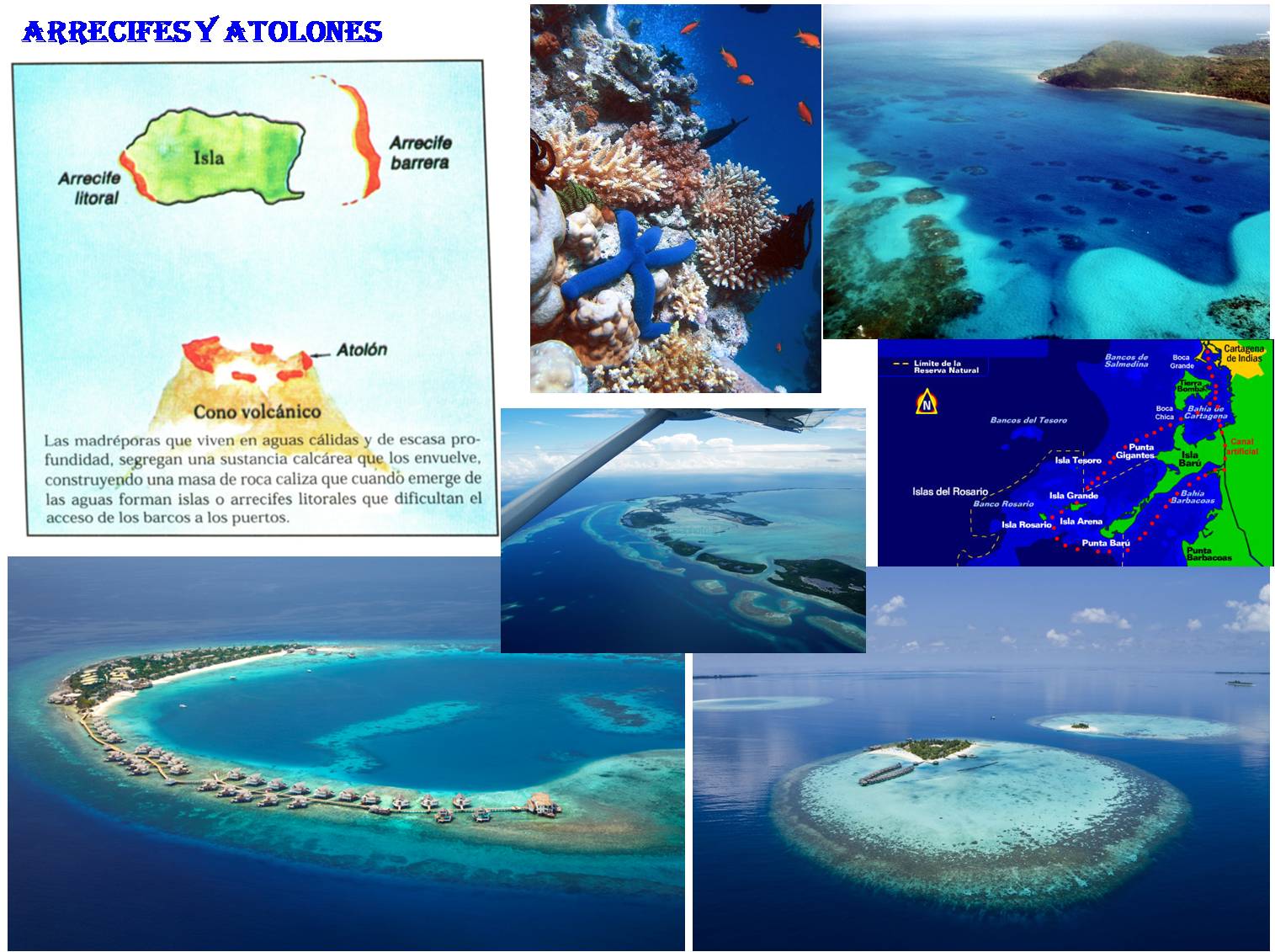 OCÉANOS, MARES, COSTAS, ISLAS Y SECTOR ANTÁRTICO - Página web de hadibename