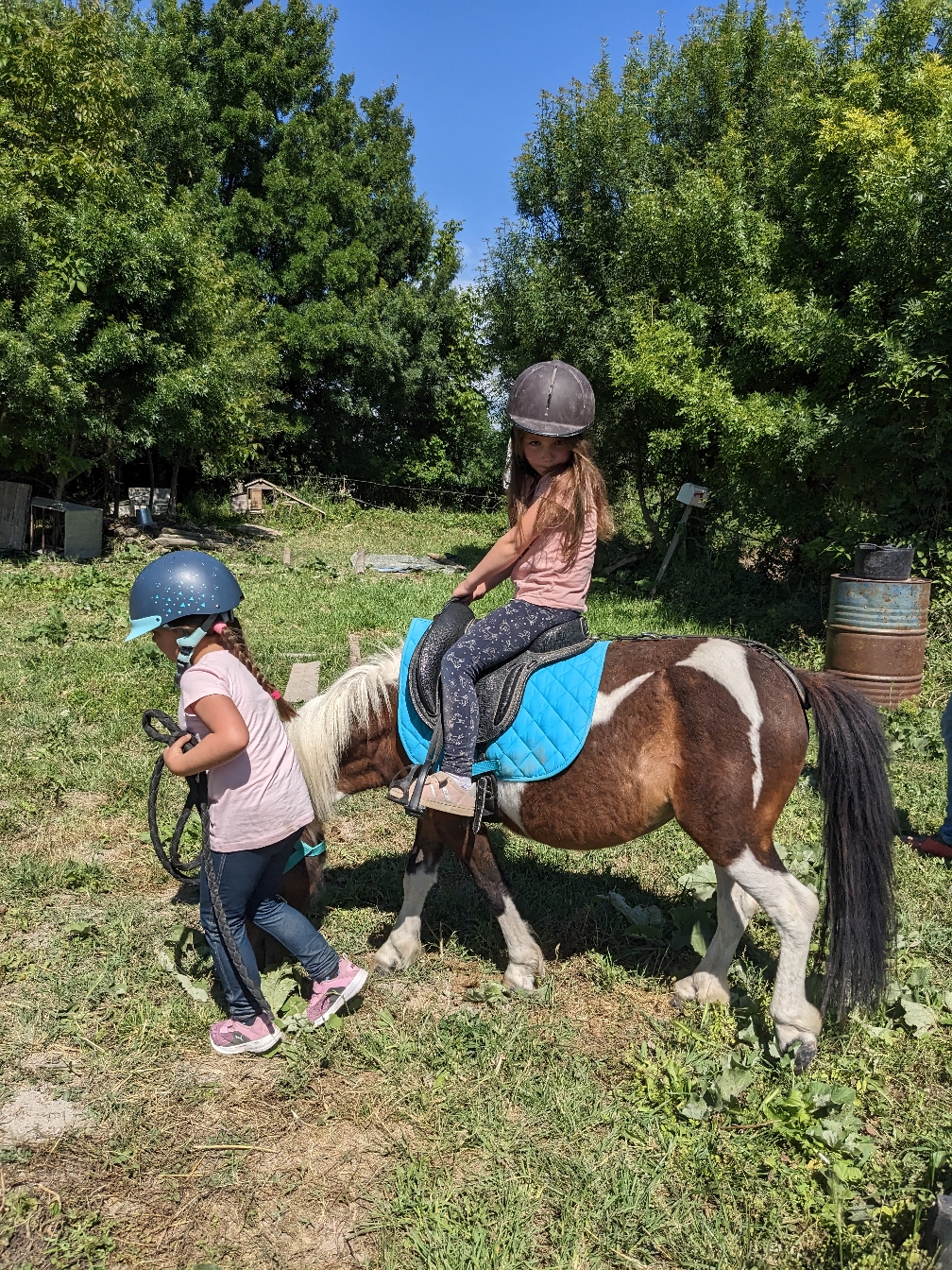ANNIVERSAIRE - SUNNY RANCH, l'équitation au naturel
