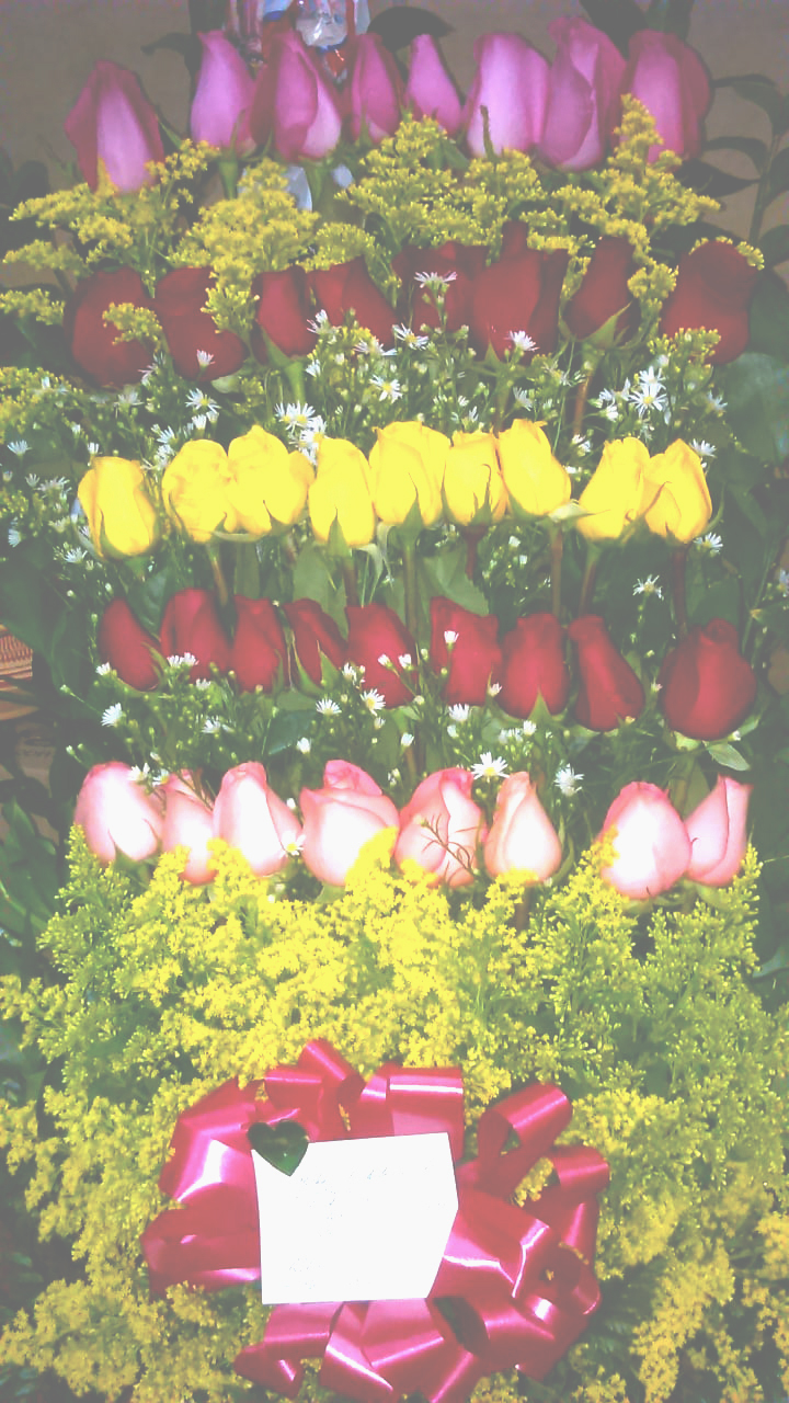 Productos varios - Paraíso Floral