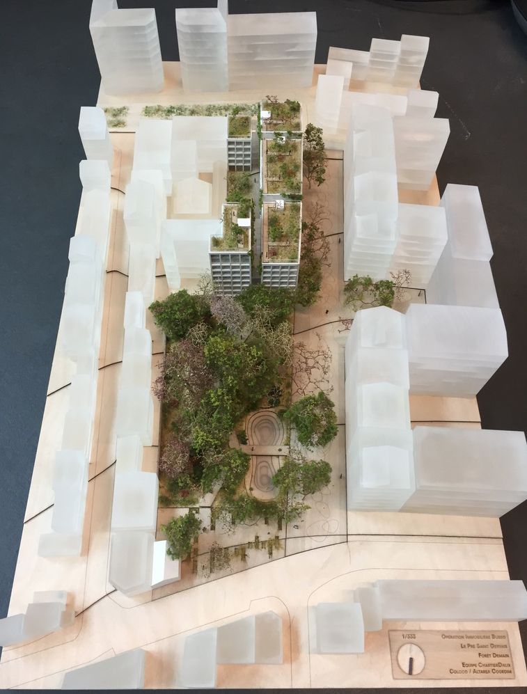 FORET DEMAIN - Site de michelskevinpaysage