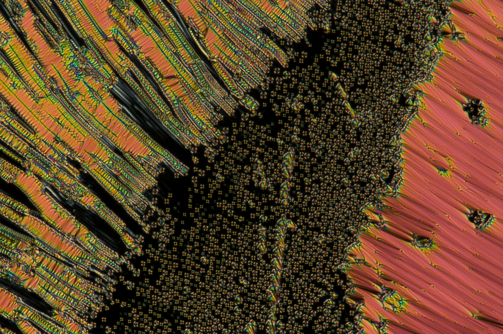 HOME - Satoshi Aya Soft Matter Lab. @Guangzhou