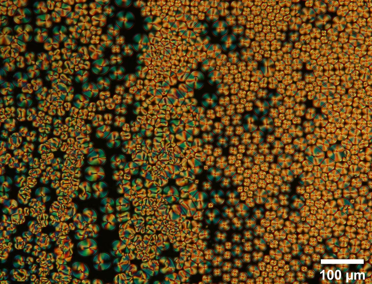 HOME - Satoshi Aya Soft Matter Lab. @Guangzhou