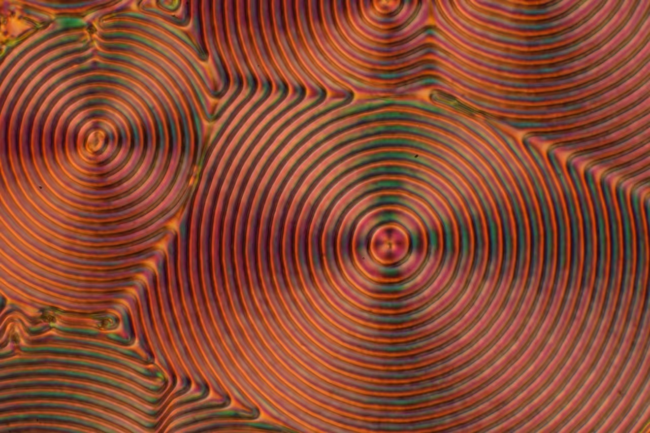 HOME - Satoshi Aya Soft Matter Lab. @Guangzhou