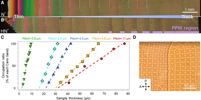 Highlights - Satoshi Aya Soft Matter Lab. @Guangzhou