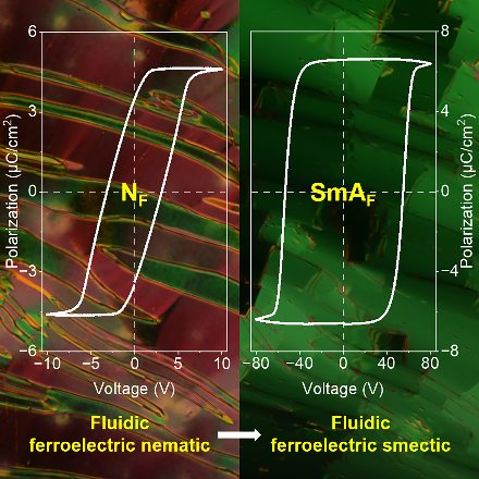 Highlights - Satoshi Aya Soft Matter Lab. @Guangzhou