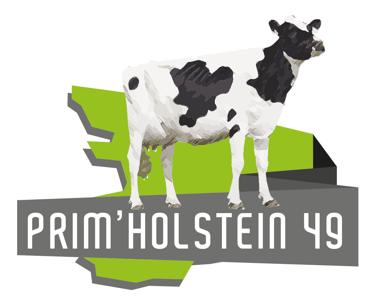 Prim'holstein 49 - primholstein49