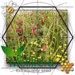 Miscugli di seme da sovescio - Agraria Ughetto Apicoltura Online.