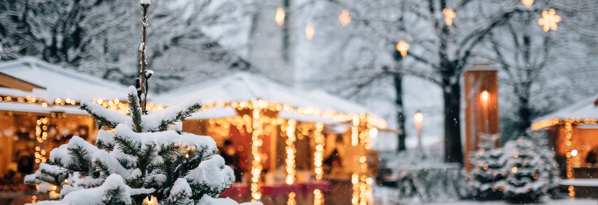 Mercatino di Natale a Lagundo - Alpenpur Bio