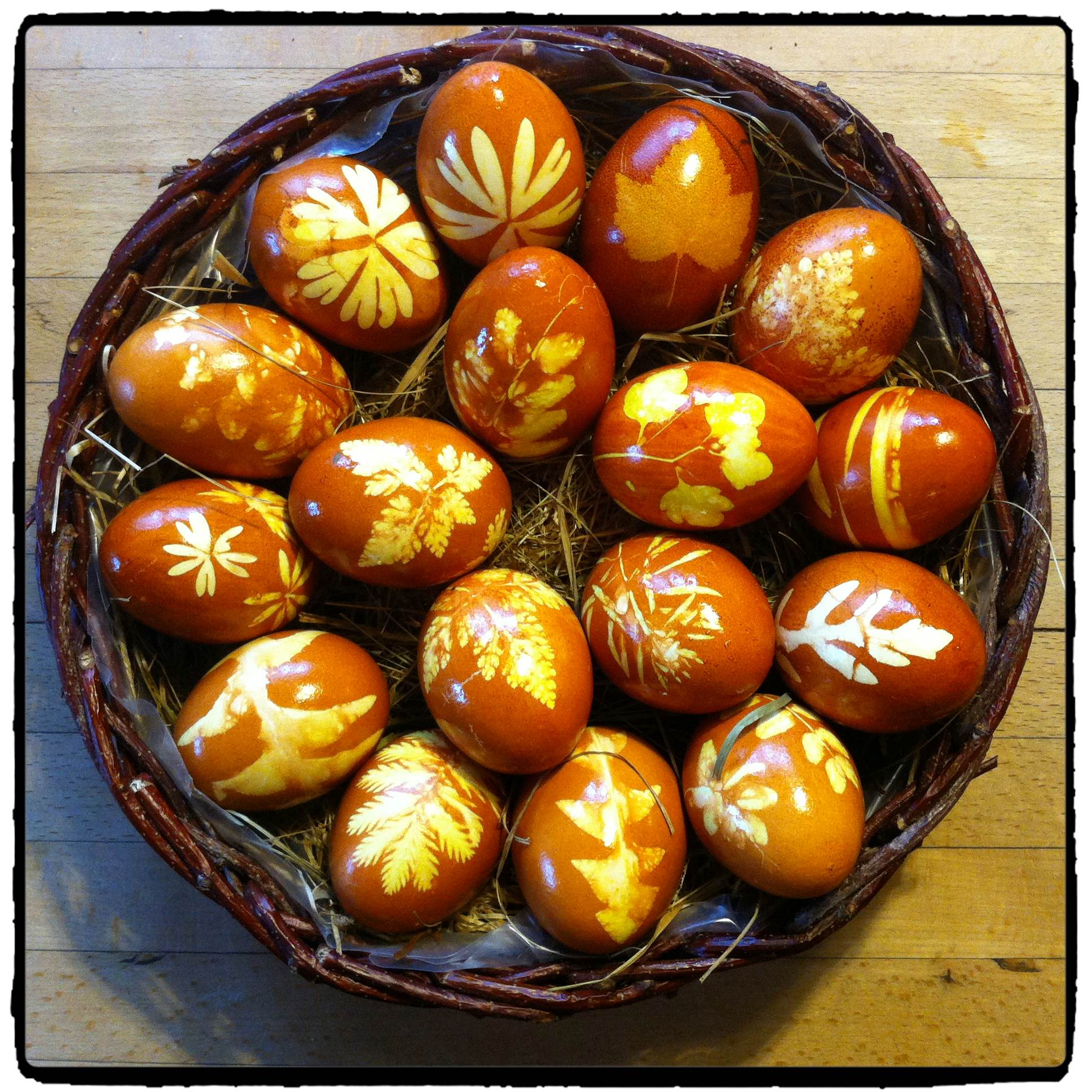 ABC - renny bossi's rezepte