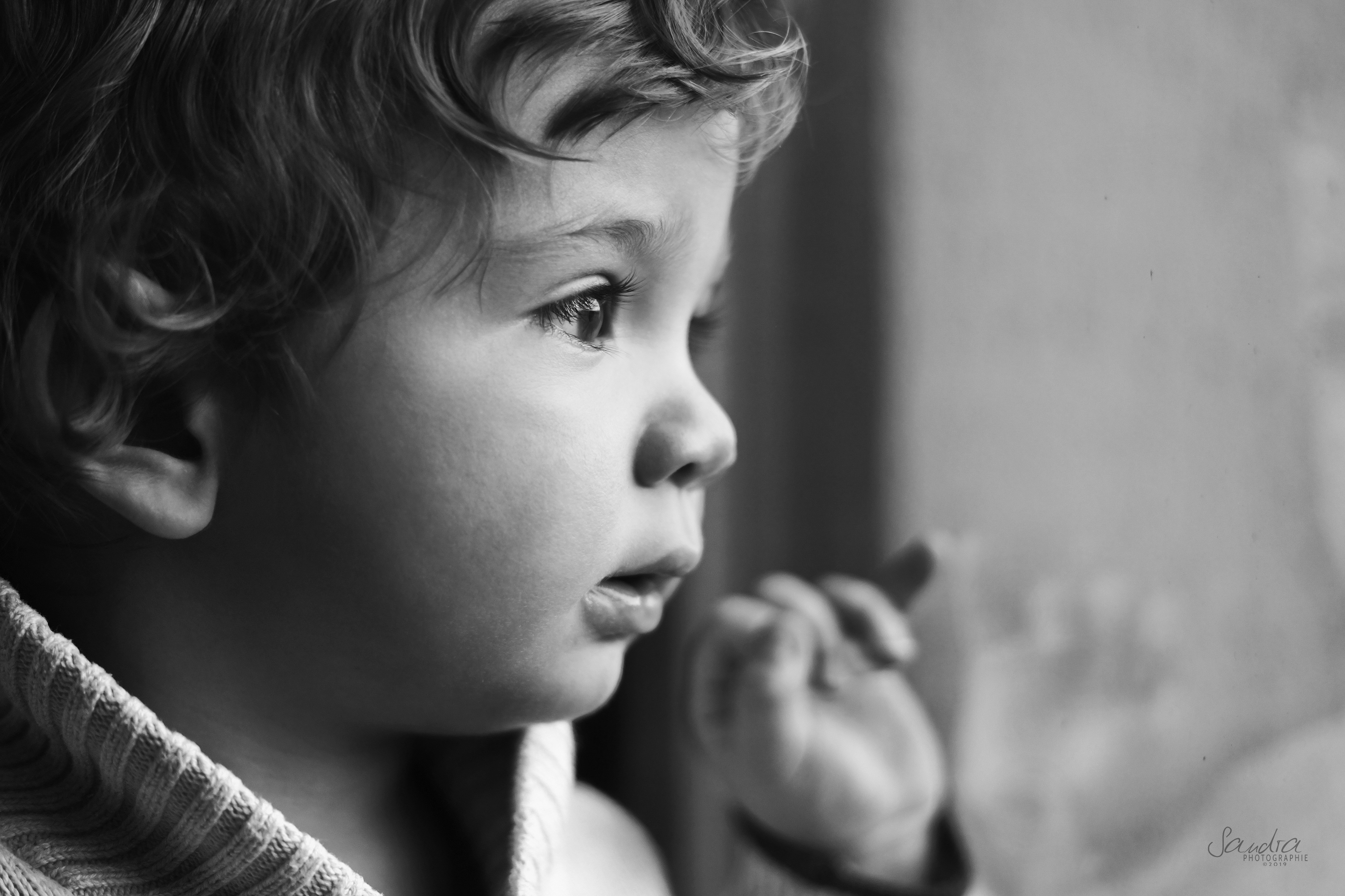 Sandra Belle's Instagram, Twitter & Facebook on IDCrawl