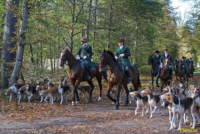 La chasse à courre - A cheval chez les princes