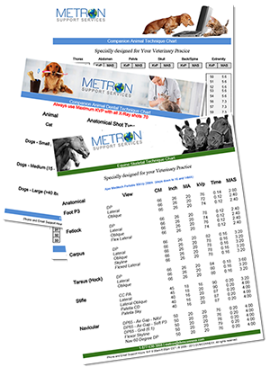Metron 8 is here! - Metron Support Services