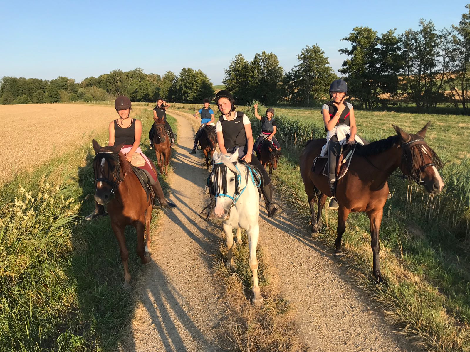 Activités et programme de votre séjour à cheval proche de Nancy et Metz ...