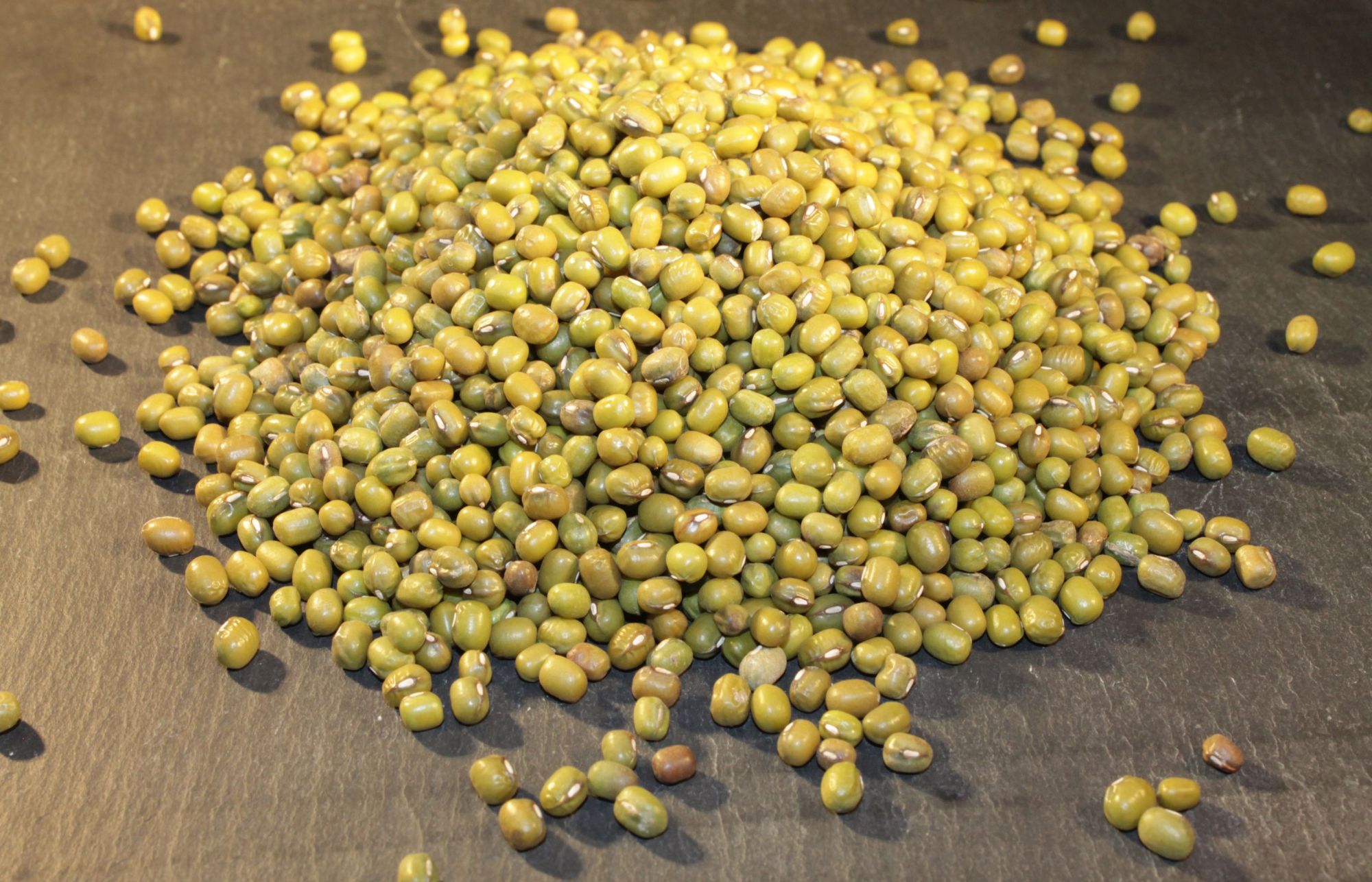 Haricot Mungo ou Soja Vert - Ferme des mille épis en Normandie