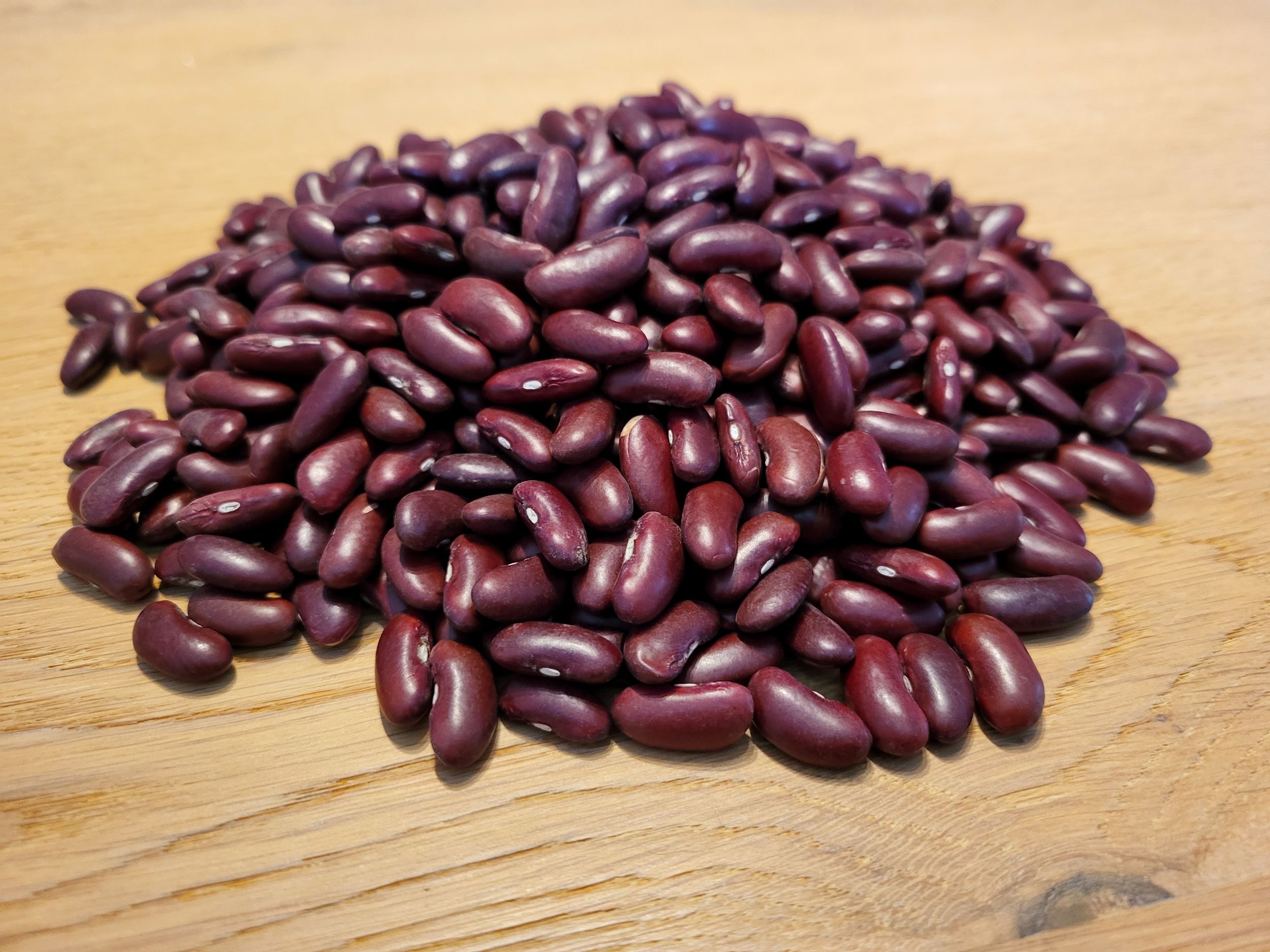 Haricot rouge - Ferme des mille épis en Normandie