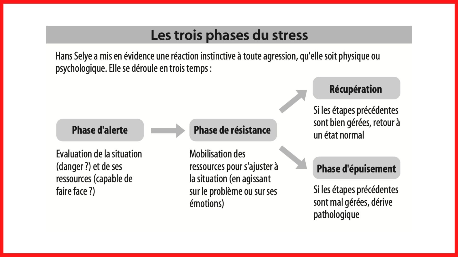 GESTION DU STRESS - Site de magic-formations-resilience