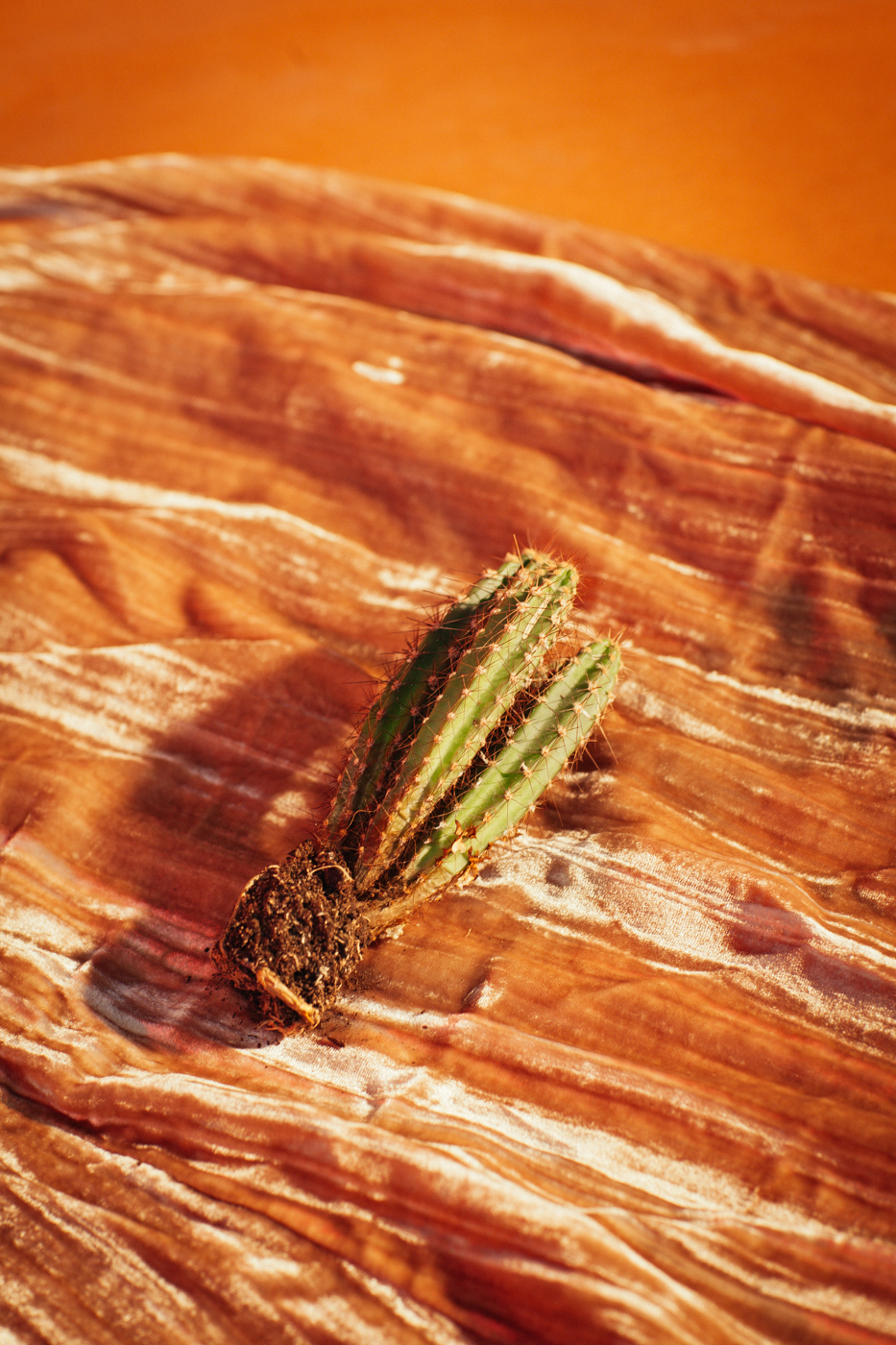 Facebook-Sharing und andere Images - designtest-rome