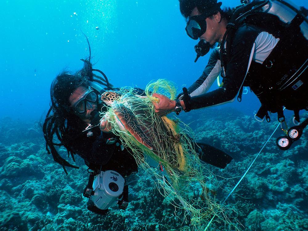 Marine-life Conservation - thailandvolunteer