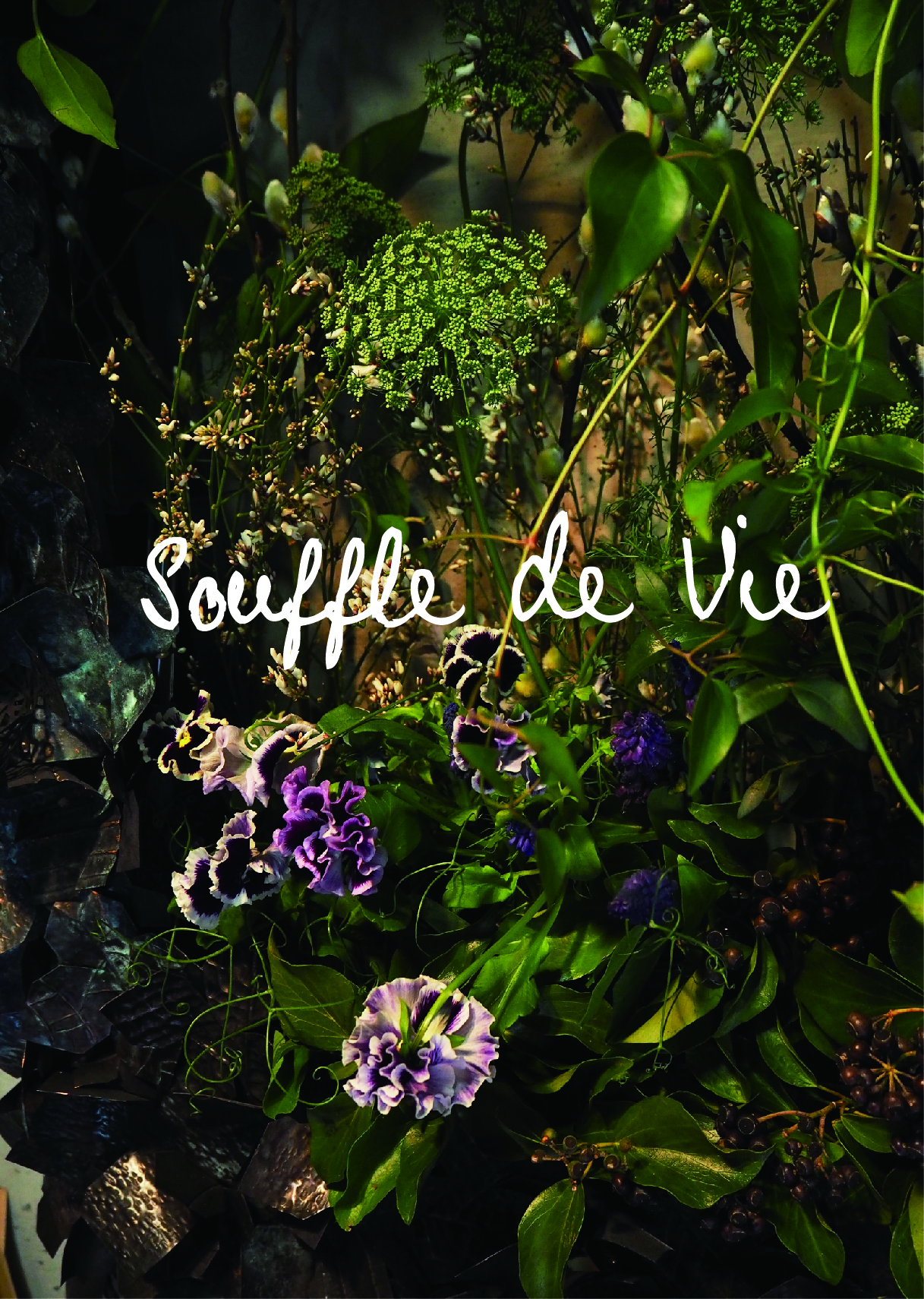 Souffle de Vie - flefle ページ！