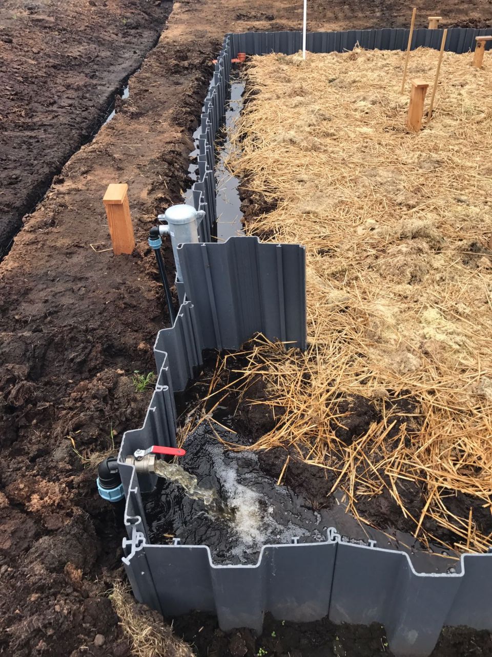 Optimoor in bildern - optimoors Webseite!