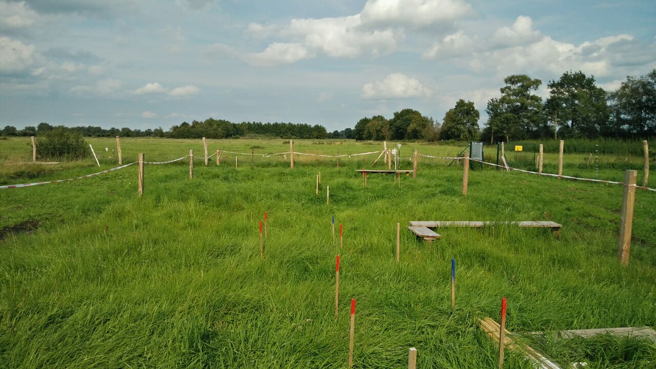 Optimoor in bildern - optimoors Webseite!