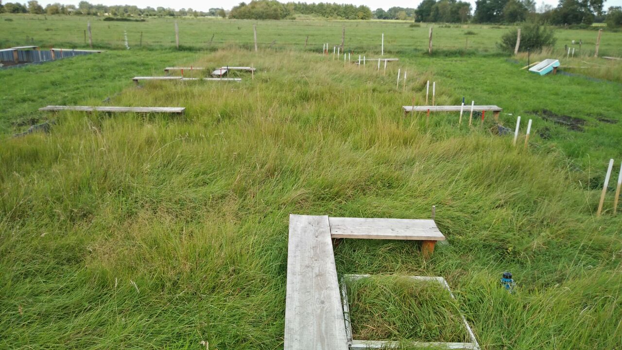 Optimoor in bildern - optimoors Webseite!