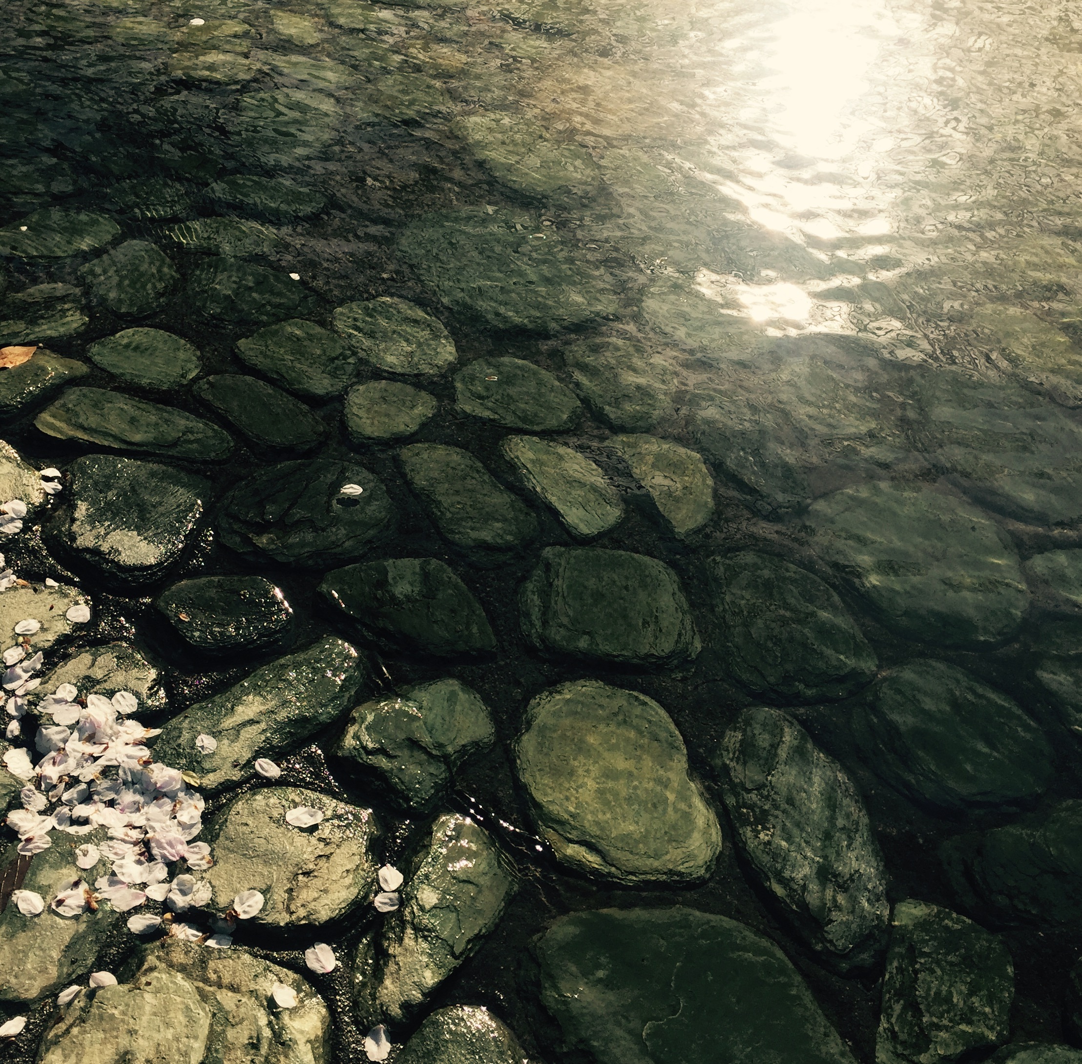 Welcome - kojima asako official web