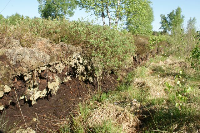 Torfabbau im Federseemoor - NABU-Naturschutzzentrum Federsee