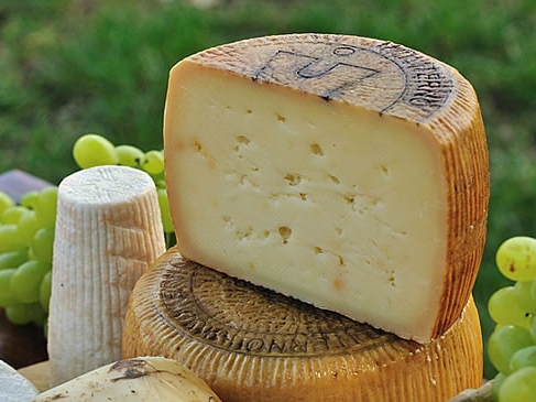 Sicilian Cheeses - Prestelli Sicily Tours - Private Tours, Authentic ...