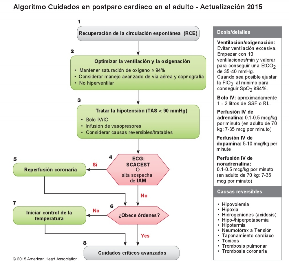 Cuidados Post Paro Cardiaco - Aurum