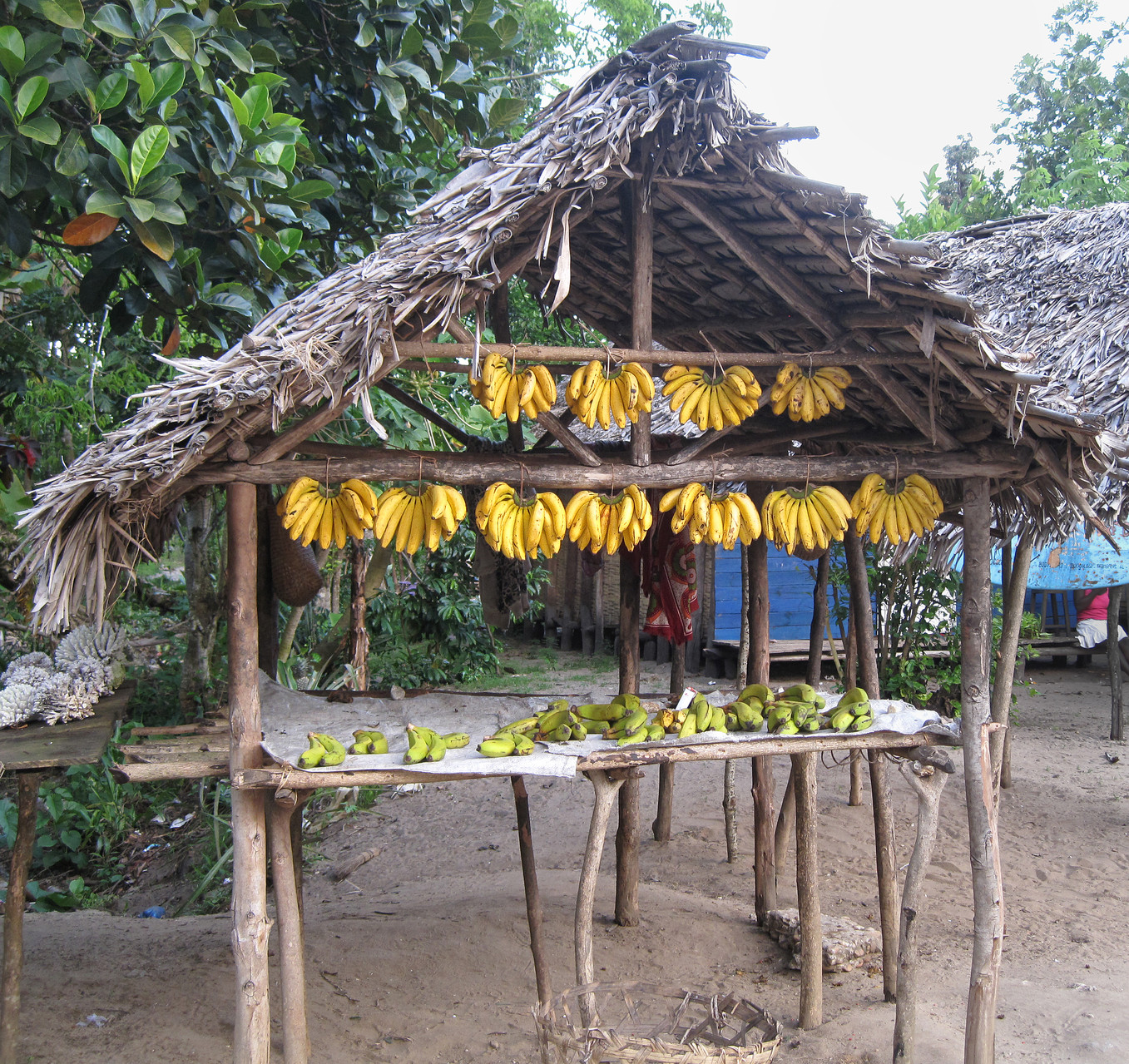 Mahambo - SEF Franco-Malgache