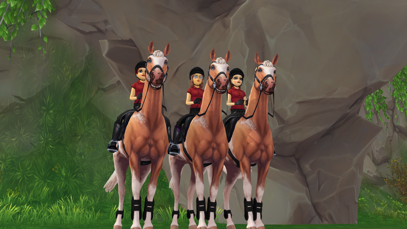 Vorraussetzungen - royalrosescompanys Webseite!