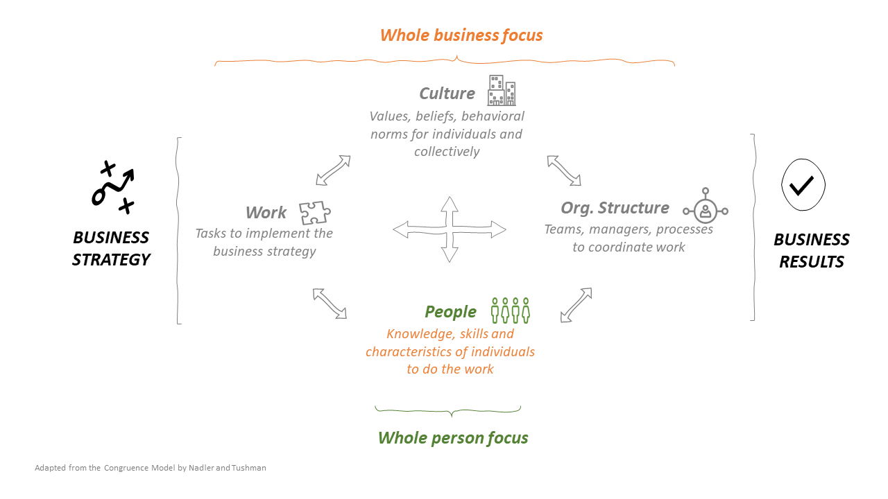 Talent Optimization - 1ExtraordinaryLife.com