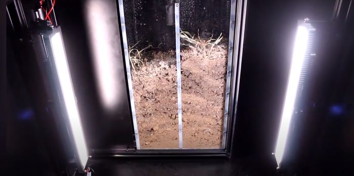 Rhizobox Imaging - Vienna Scientific