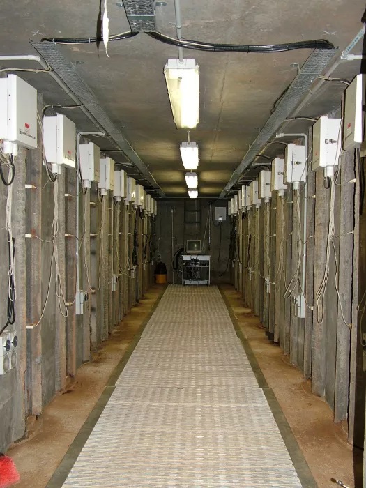 Rhizotrons & Root Windows - Vienna Scientific