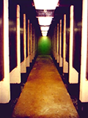 Rhizotrons & Root Windows - Vienna Scientific