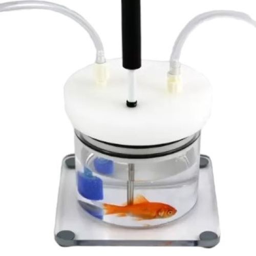 Teach Photosynthesis, Animal Respirometry - Vienna Scientific