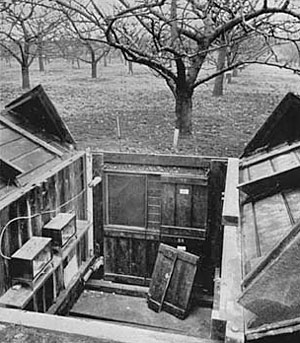 Rhizotrons & Root Windows - Vienna Scientific