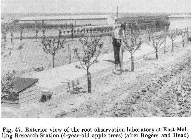 Rhizotrons & Root Windows - Vienna Scientific