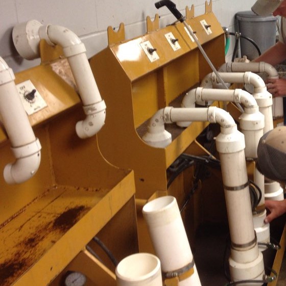 Root Washer - Vienna Scientific