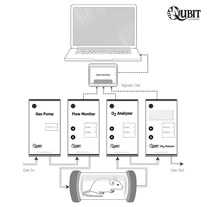 Animal Respirometry - Vienna Scientific