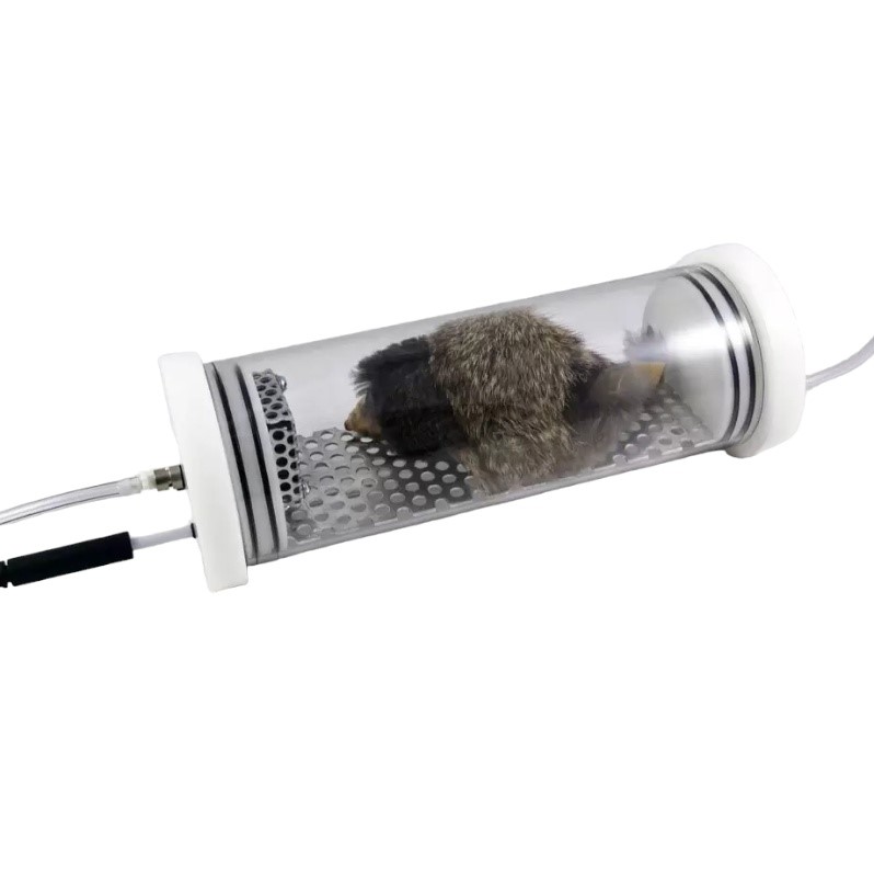 Teach Photosynthesis, Animal Respirometry - Vienna Scientific