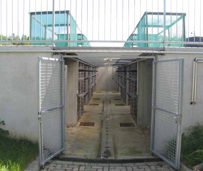 Rhizotrons & Root Windows - Vienna Scientific