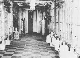 Rhizotrons & Root Windows - Vienna Scientific